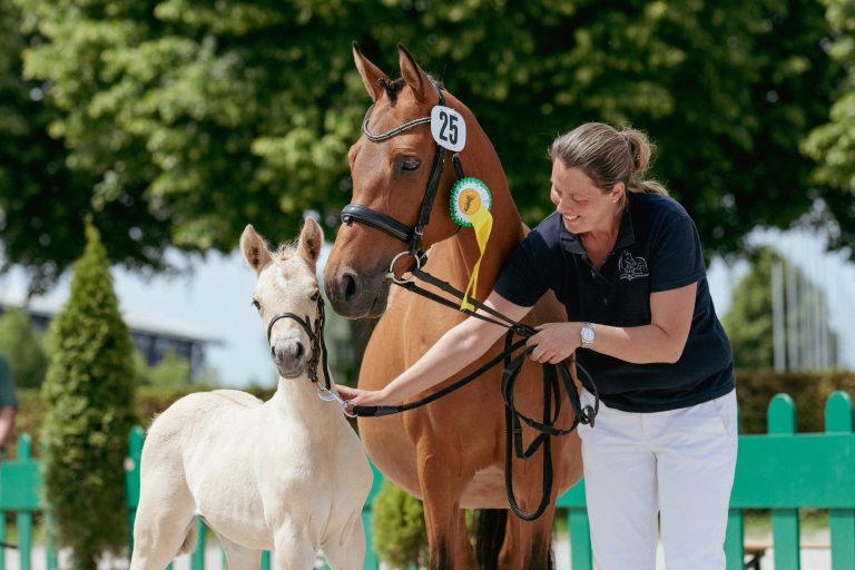 Rheinische Zuchtvielfalt - Rheinlands Reiter+Pferde