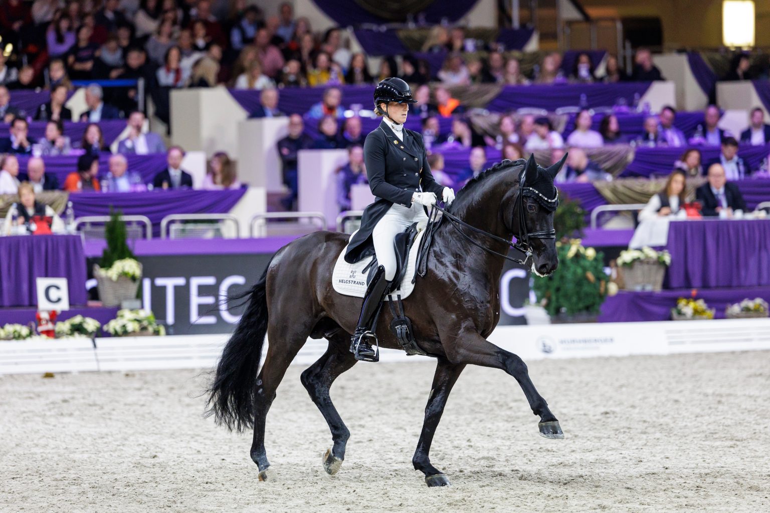 Rheinländer Lord Europe gewinnt ersten Grand Prix - Rheinlands Reiter ...