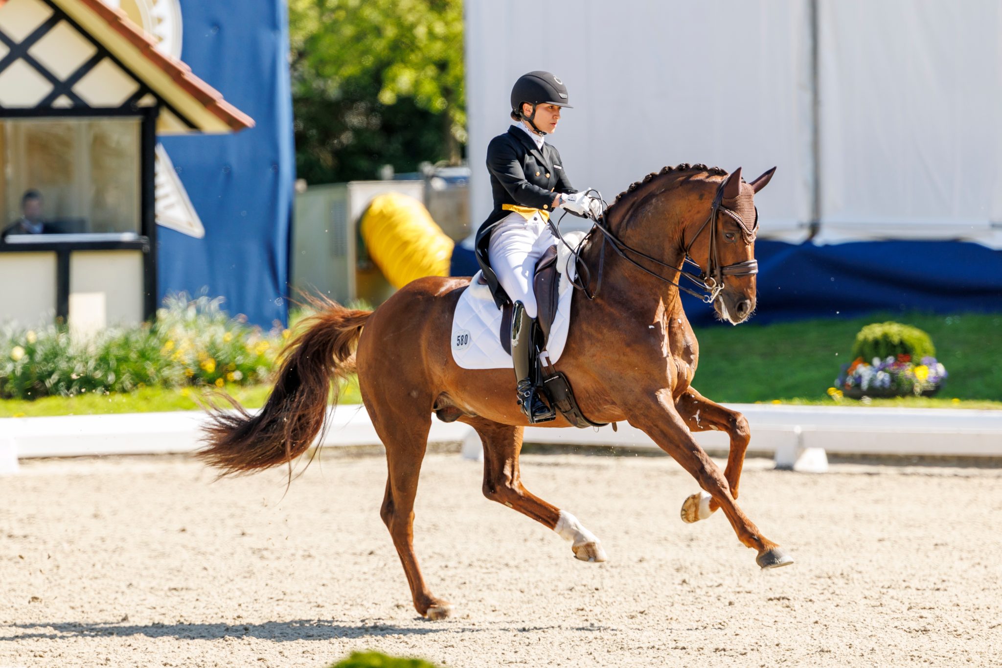HAGEN a.T.W. - Horses and Dreams meets Netherlands 2025 - Rheinlands ...
